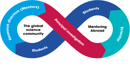 Figure 1. Global Mentoring Approach